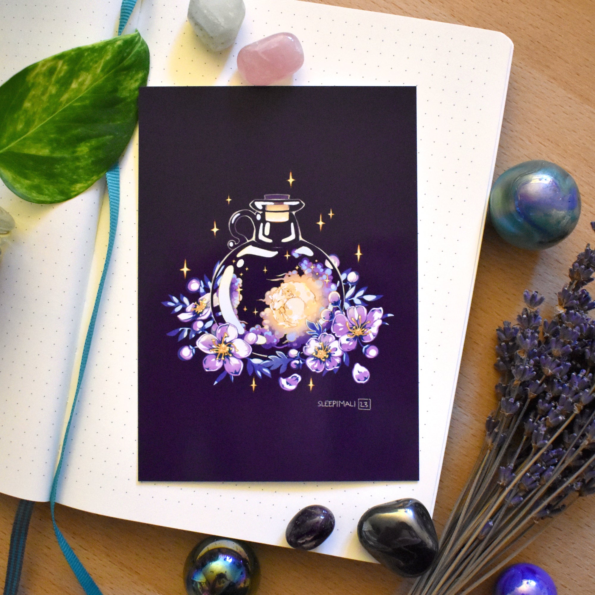 Bottle of Moonlight Postcard Print – SleepiMali